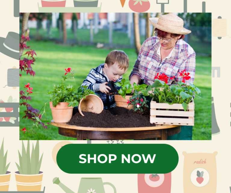 Zone 7b Planting Calendar: Perfect Timing for Your Most Successful ...