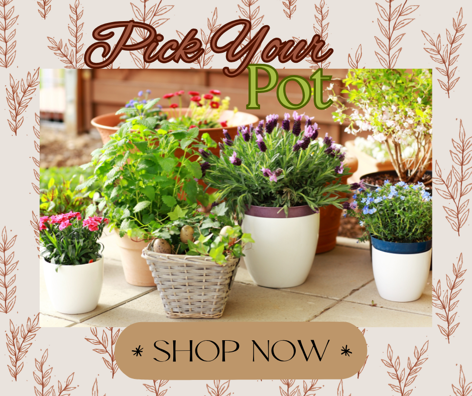 Zone 7b Planting Calendar: Perfect Timing for Your Most Successful ...