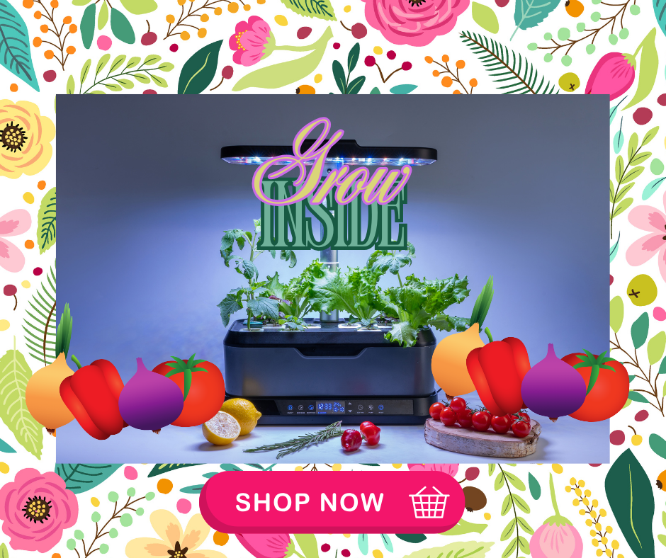 Zone 7b Planting Calendar: Perfect Timing for Your Most Successful ...